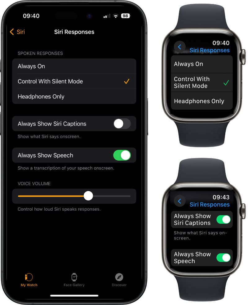 How to Use Siri on Your Apple Watch - Siri User Guide