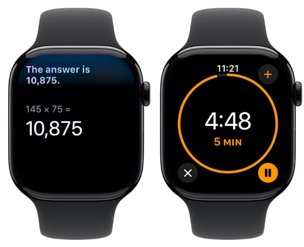 How to Use Siri on Your Apple Watch - Siri User Guide